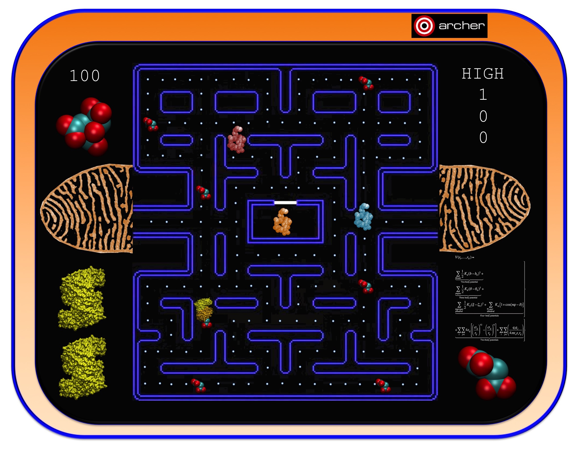 Molecular Machines within us: Citrate Synthase a Pac-Enzyme