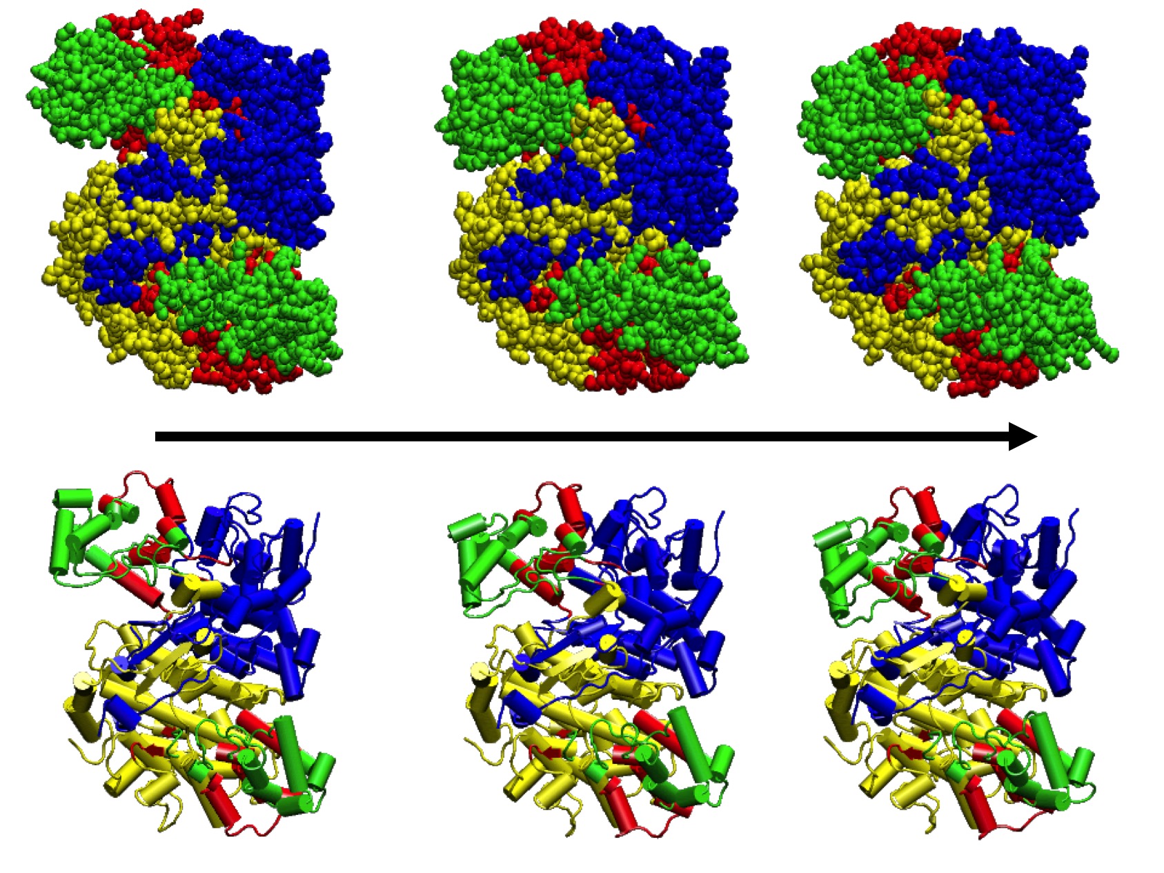 Molecular Machines within us: The Citrate Synthase I