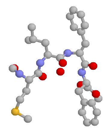 Secondary structure forming peptides in solution: ß-turns, ß-hairpins ...