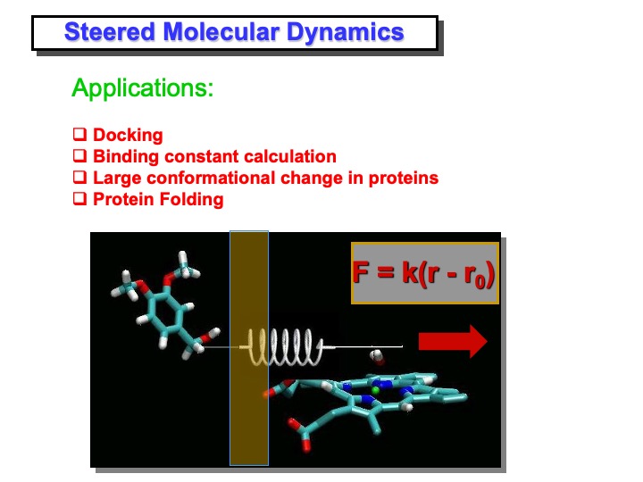 Seminar Series: Molecular Dynamics Simulation of Biomolecules